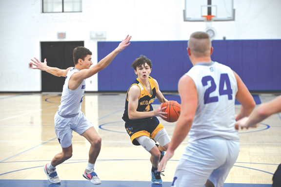 Whittling it down: Area high school basketball teams down to a foursome ...